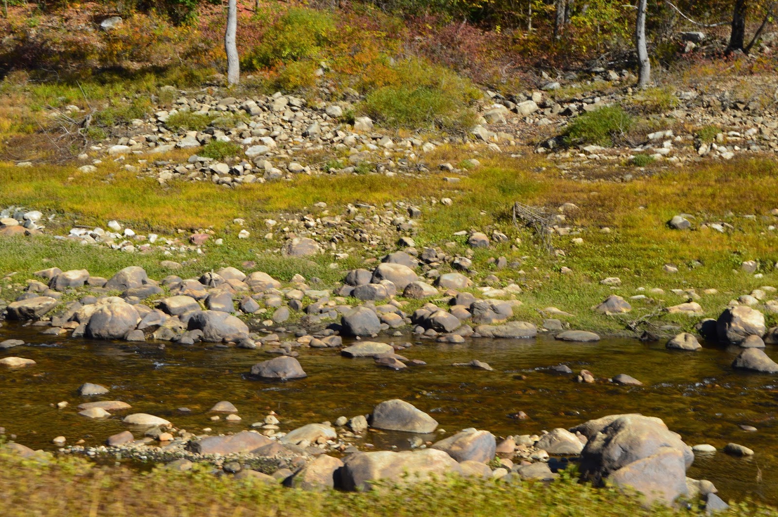 Debbie's Post: Colebrook River Dam