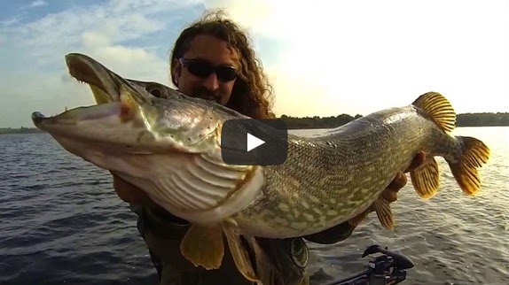 Fishing Videos : A Pikepride Day... Fishing for big monster pike in ...