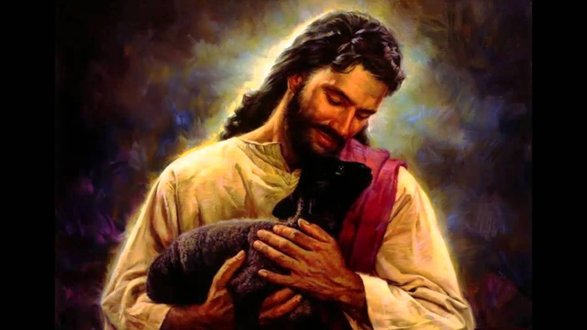 Reflexionando Sobre Conceptos : EL REBAÑO