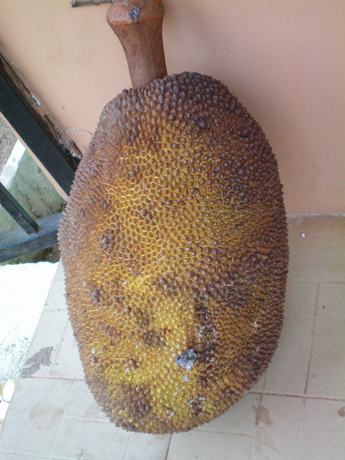 Uburuahiara projects: a month in Igboland