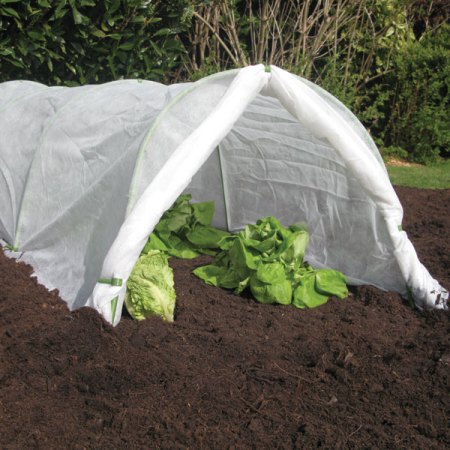 Protecting Your Plants From the Elements - intotherustic