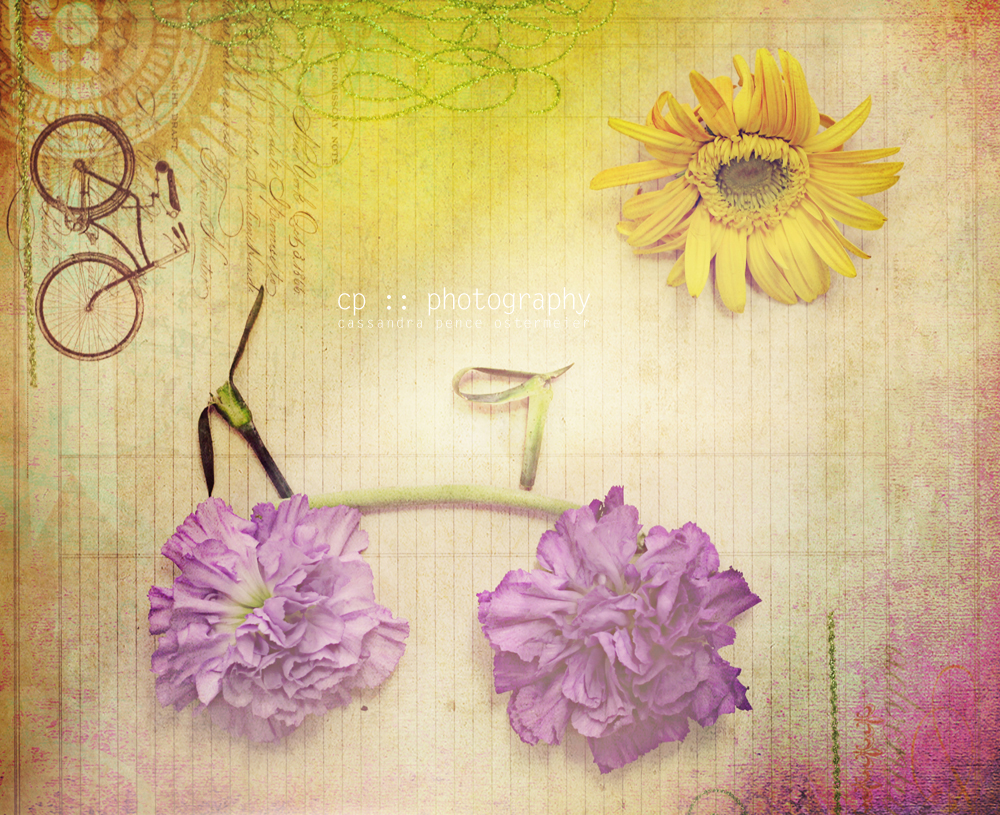 sassafras: trying something new :: abstract art