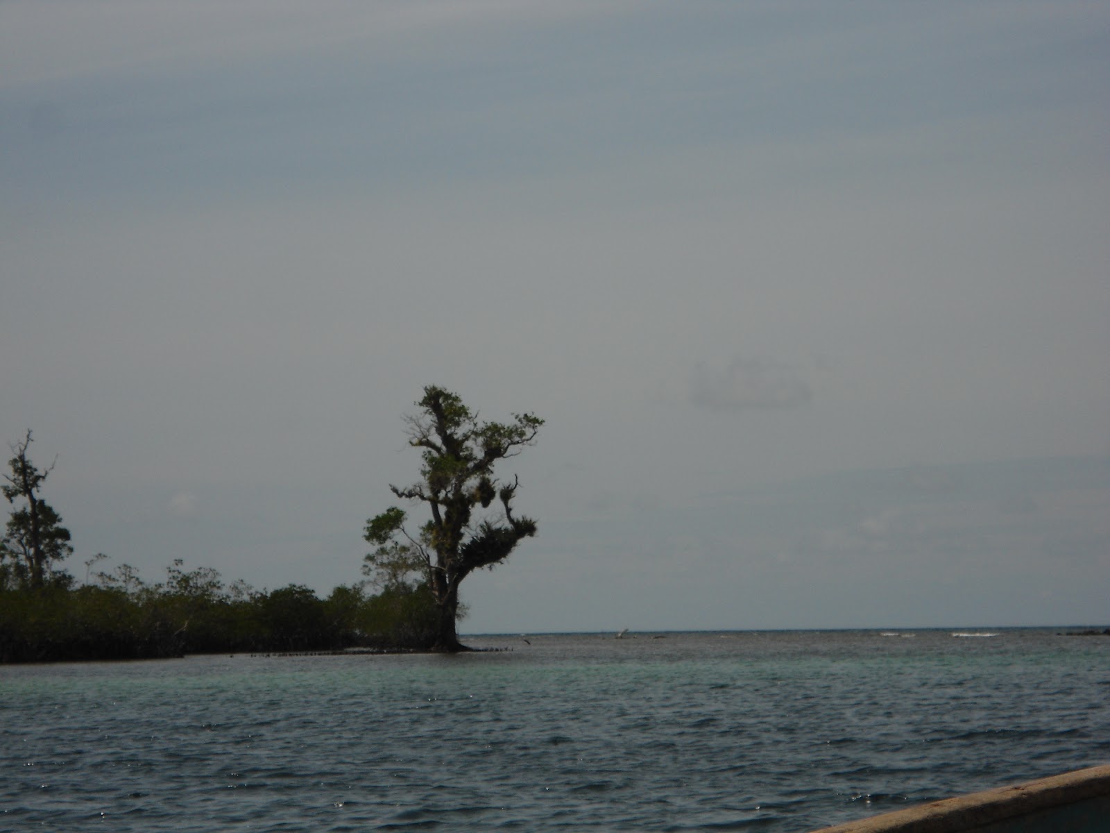 " 101 drifting ideas ": On my Way to Languyan, Tawi-Tawi