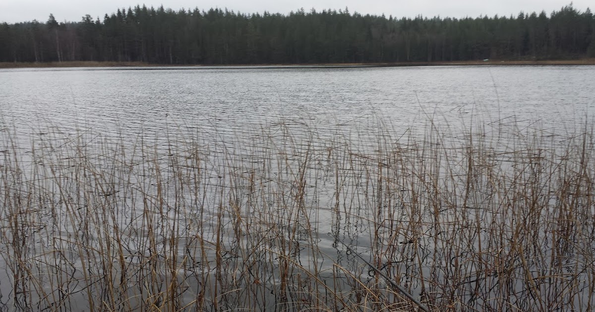 Fagells Fiske: I väntan på isen