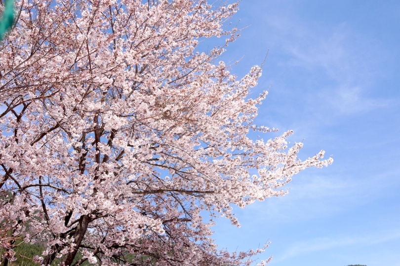 Lake Kawaguchiko, Mt.Fuji【富士山，河口湖】 | Chanwon.com | Travel & Beauty Blogger