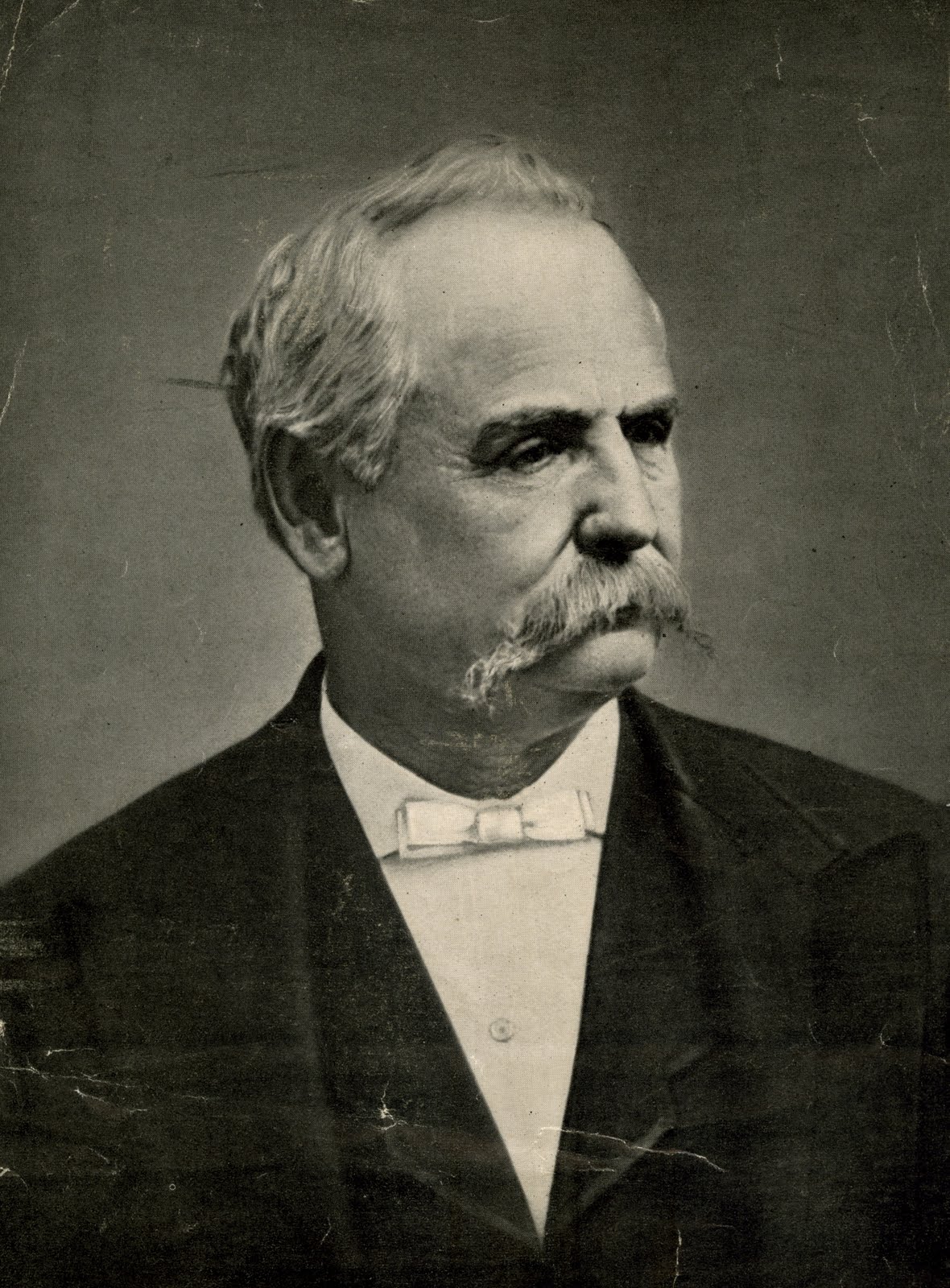 the back quarter acre: July 2011