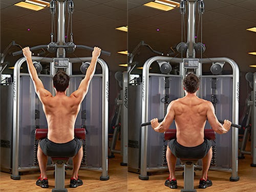 Back muscle beginner training