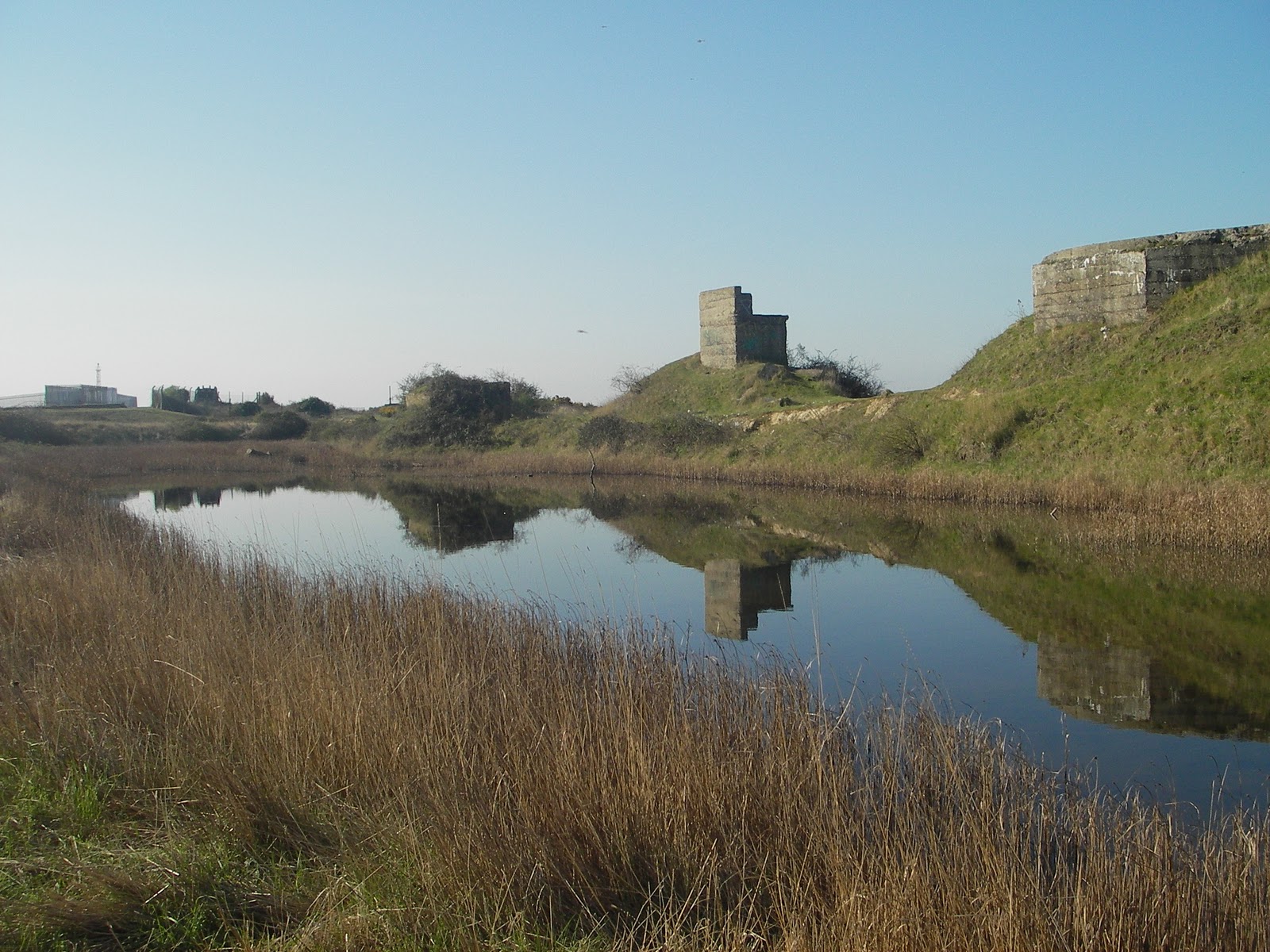 Notes from Kent's Hoo Peninsula: Grain Coastal Park (Isle of Grain ...