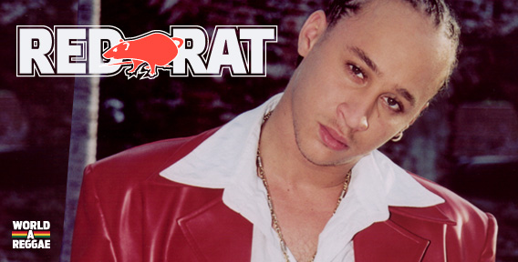 Entertainment News: Red Rat Jamaican reggae Star to perform in Zimbabwe