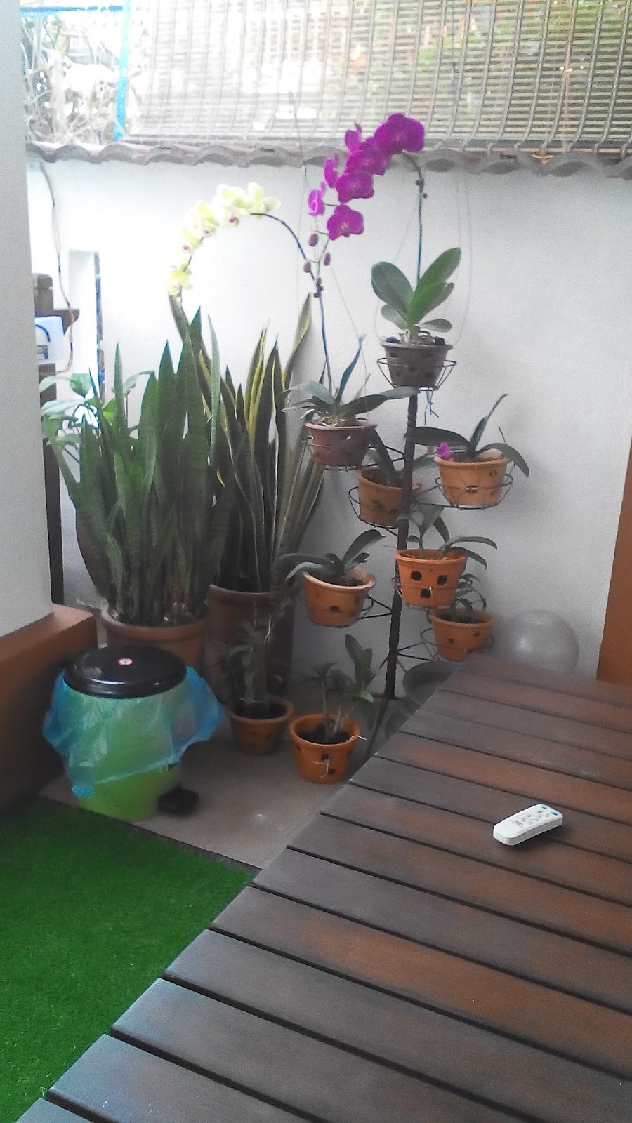 Bila Jemari Menari: Rumput n Pangkin