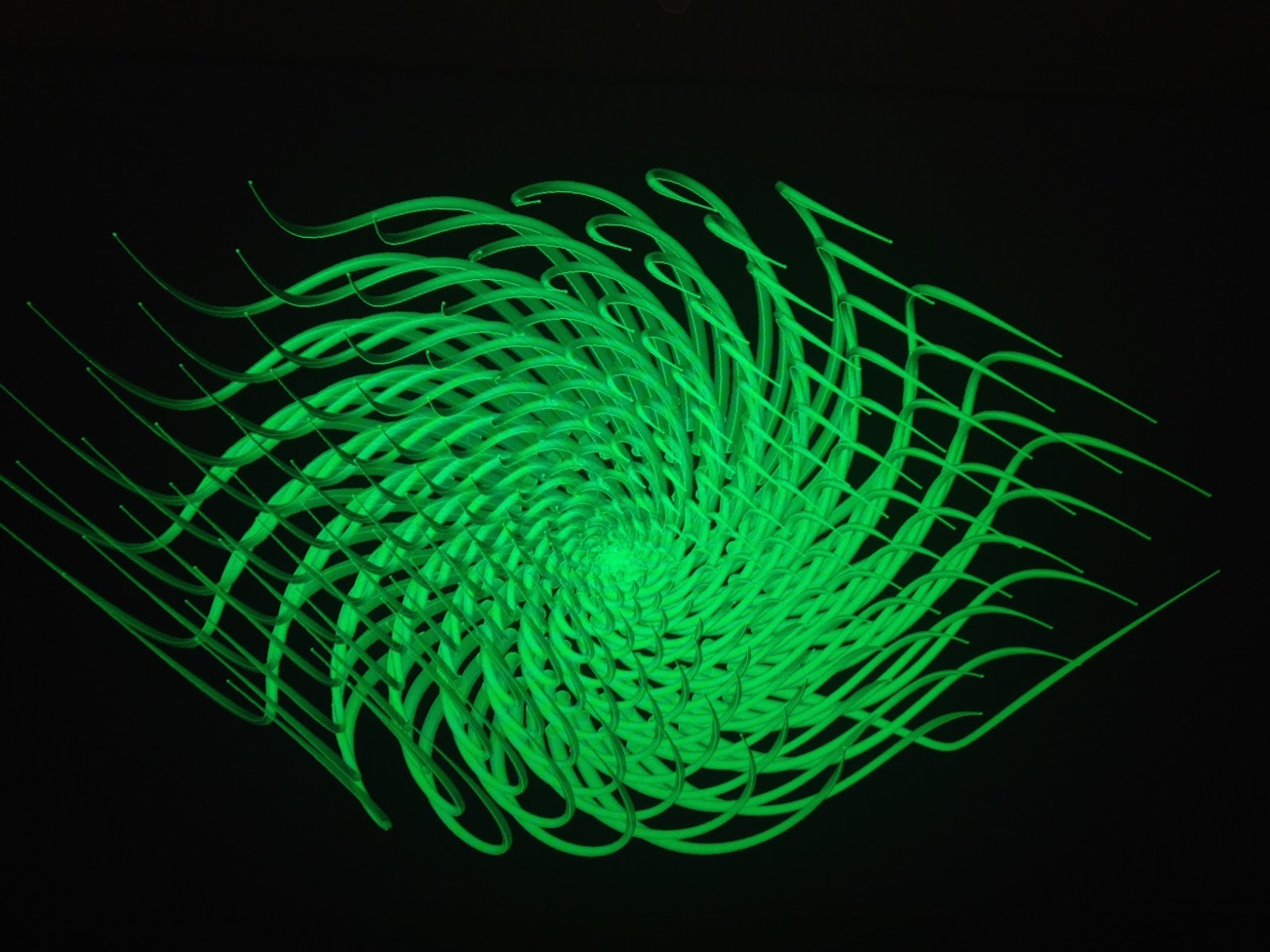 MADEinCALIFORNIA ///Co.De.: Phyllotaxis System 06