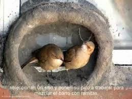 TONDERO - CANCIONES (cancionero temático): EL CHILALO (Tondero ...