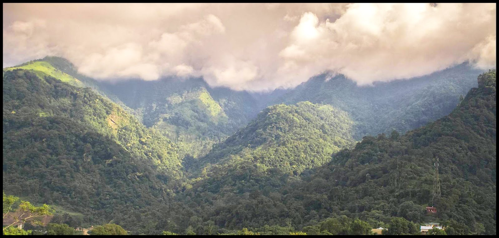 Jatinga,Assam,India | Travel life journeys