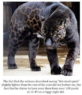 Texas Cryptid Hunter: Sightings of Black Panthers in Texas Continue ...