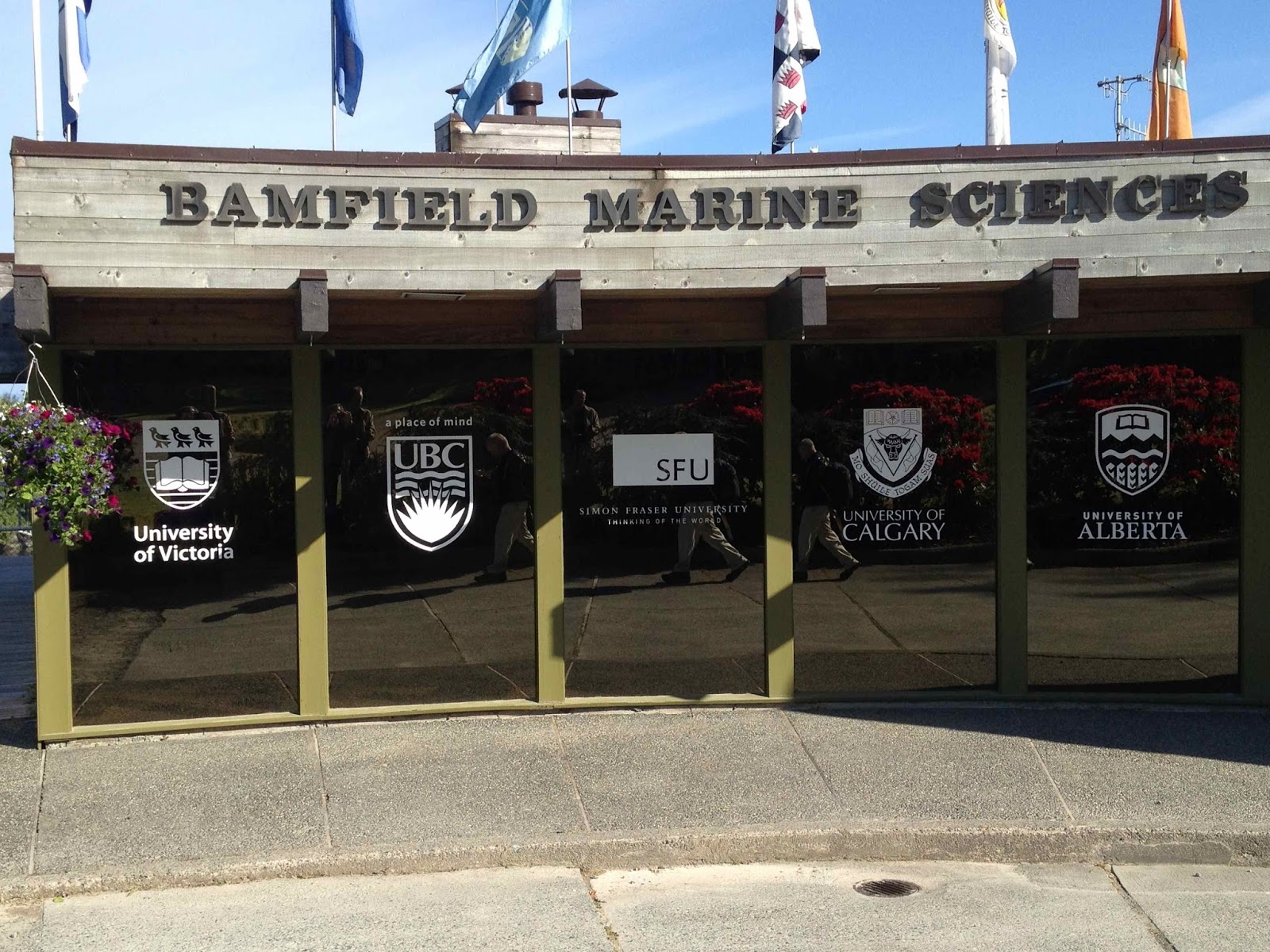 Academic (a)Musings: Bamfield Marine Sciences Centre