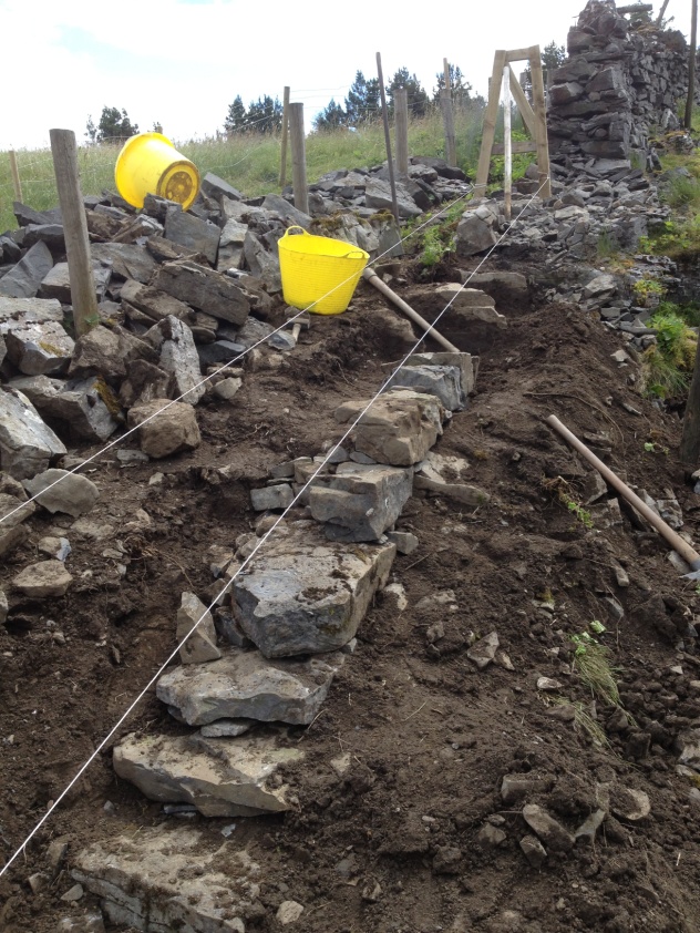Moor House - Upper Teesdale National Nature Reserve: Rough Sike Wall