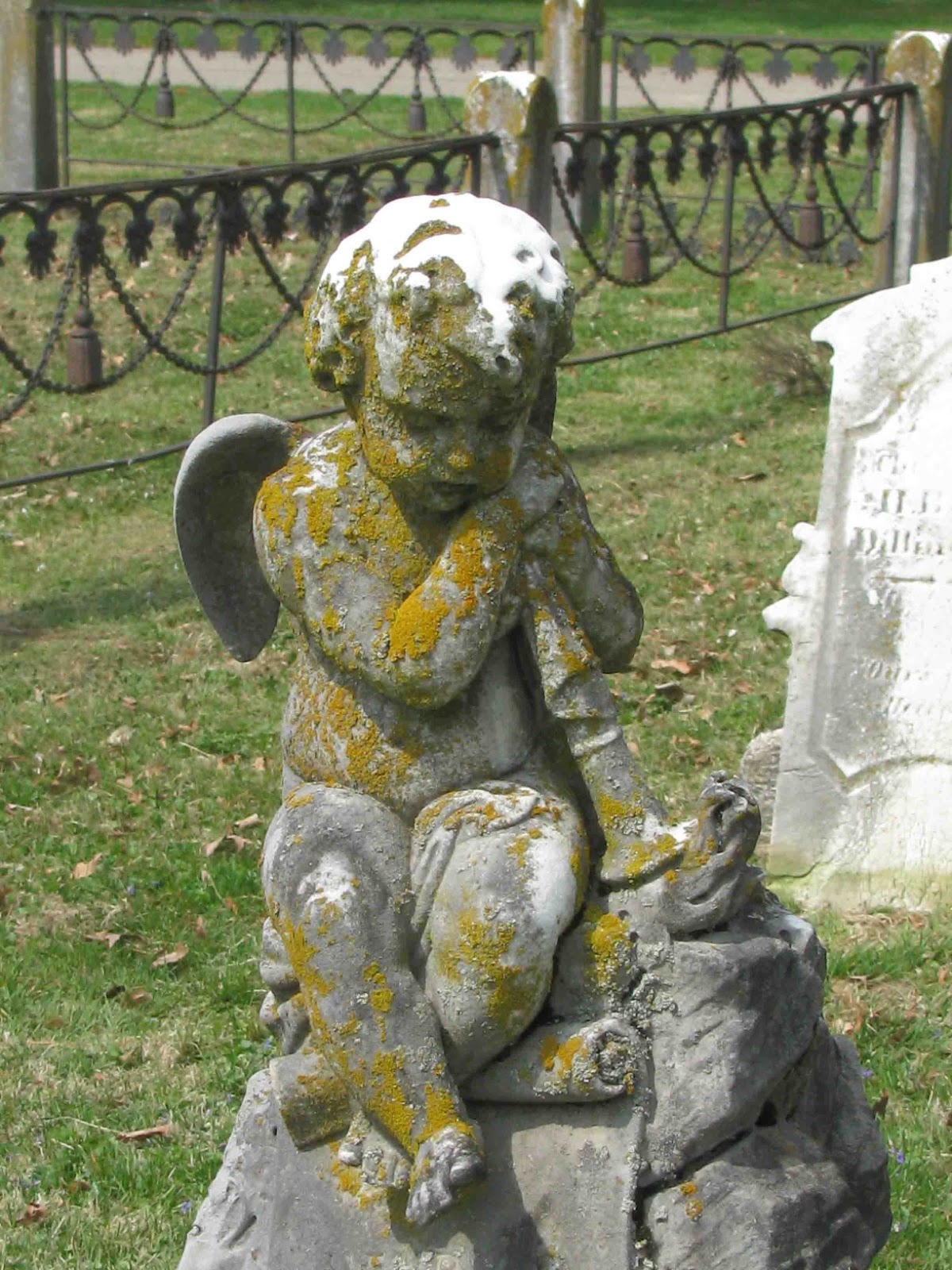 A Grave Interest: Angels in the Cemetery