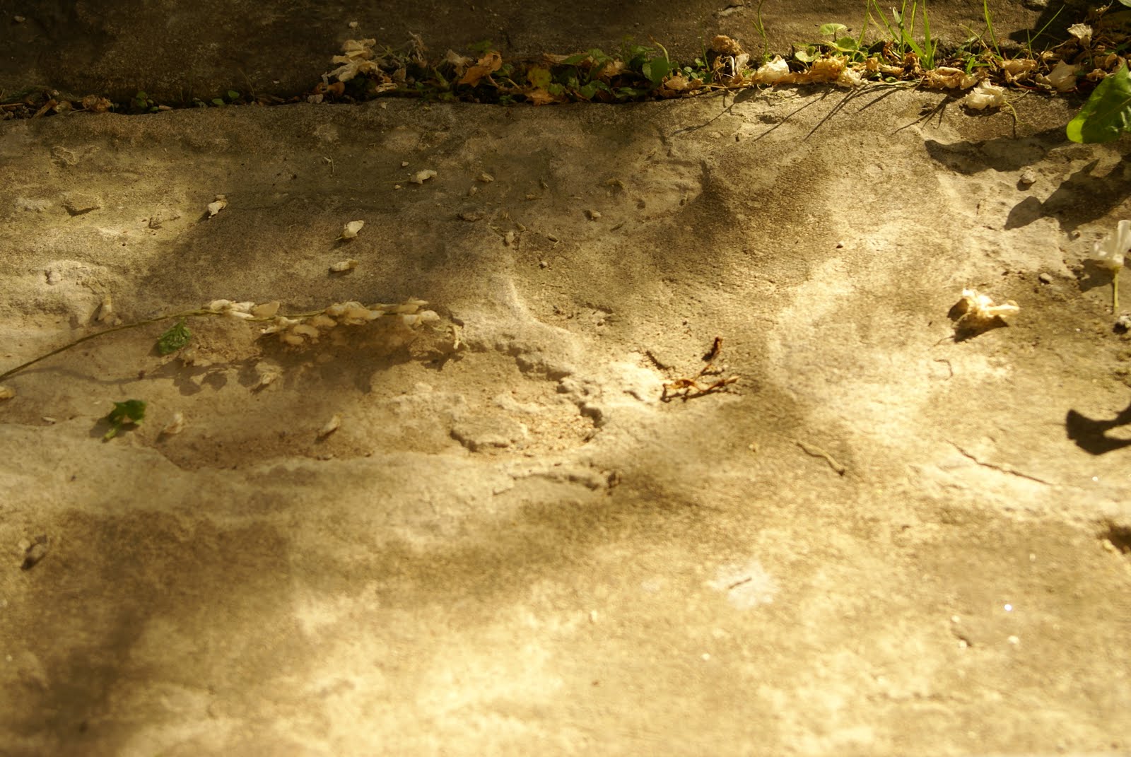 Mining Aśvaghoṣa's Gold: SAUNDARANANDA 10.4: Shining Dullness, Widening ...