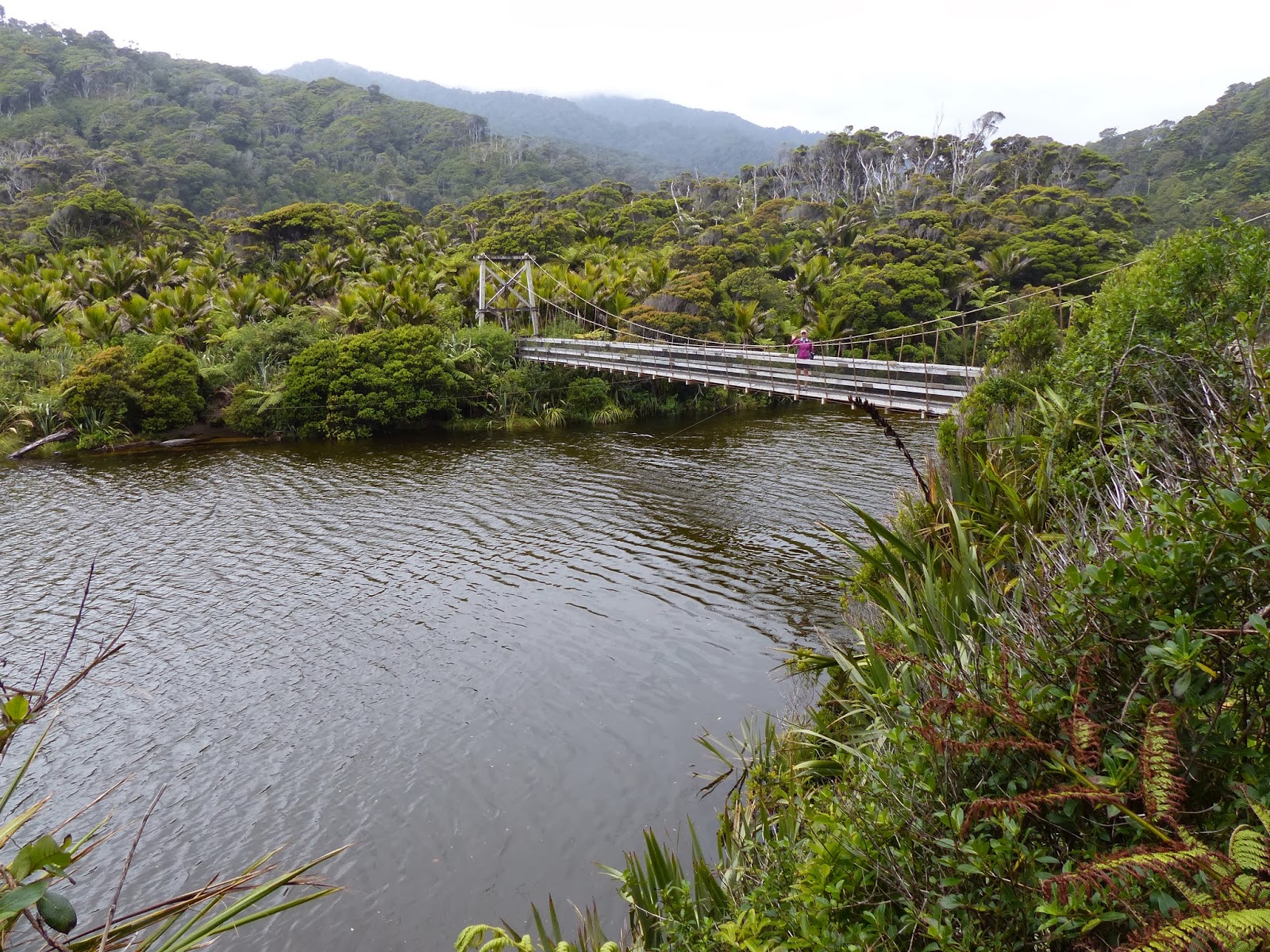 B and G in New Zealand: Buller Region 2014