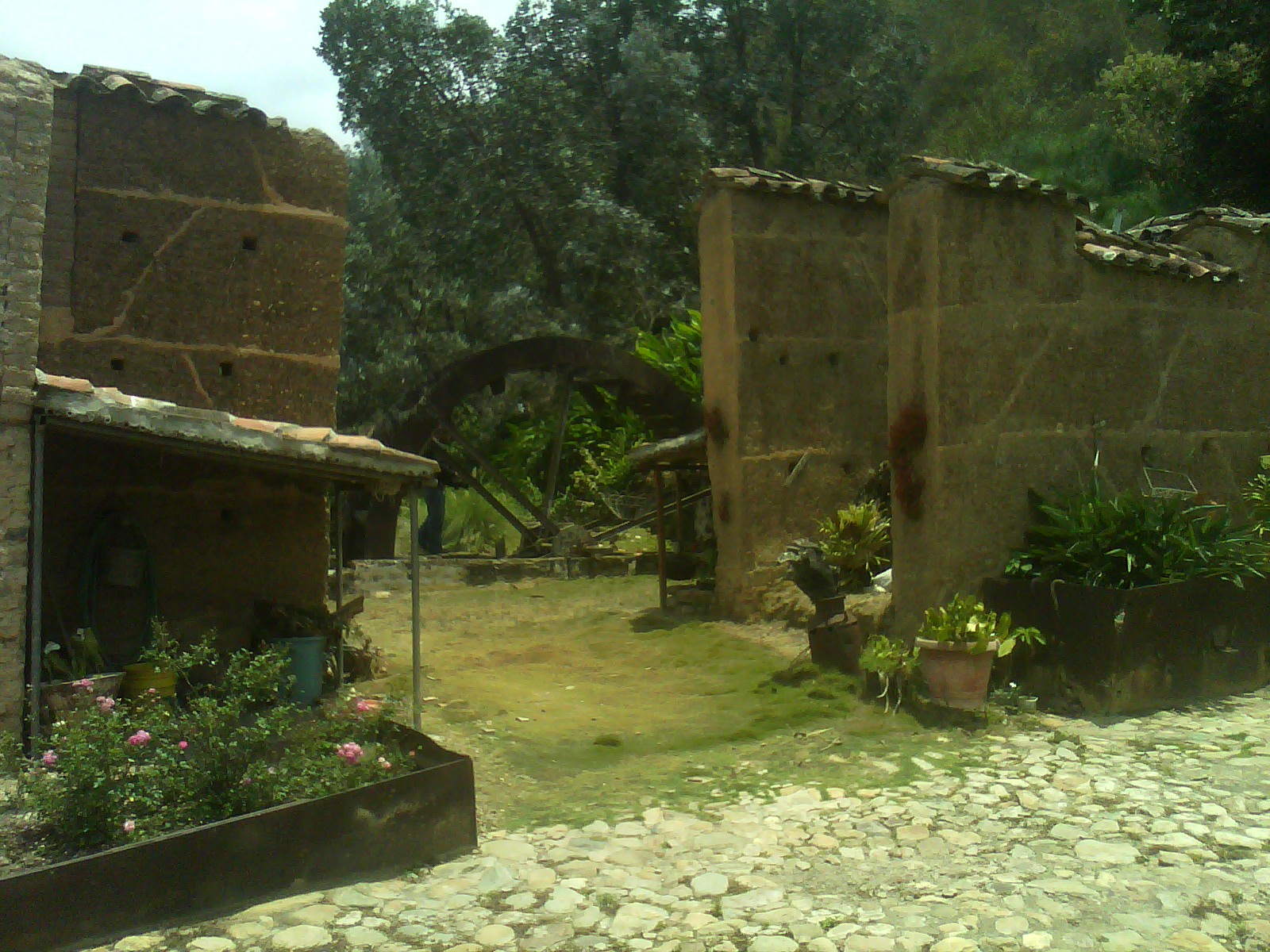 Reseña de los Trapiches, Ingenios y la Caña de Azucar de Carache ...