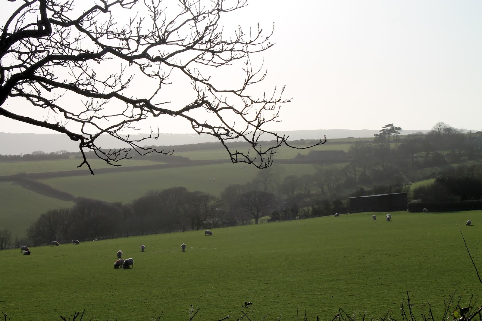 Alexa Aldrich: Wale of A Tale.