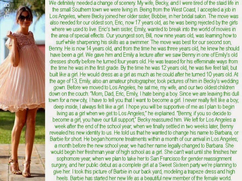 Eric's Transgender Captions: Barbie's New Life