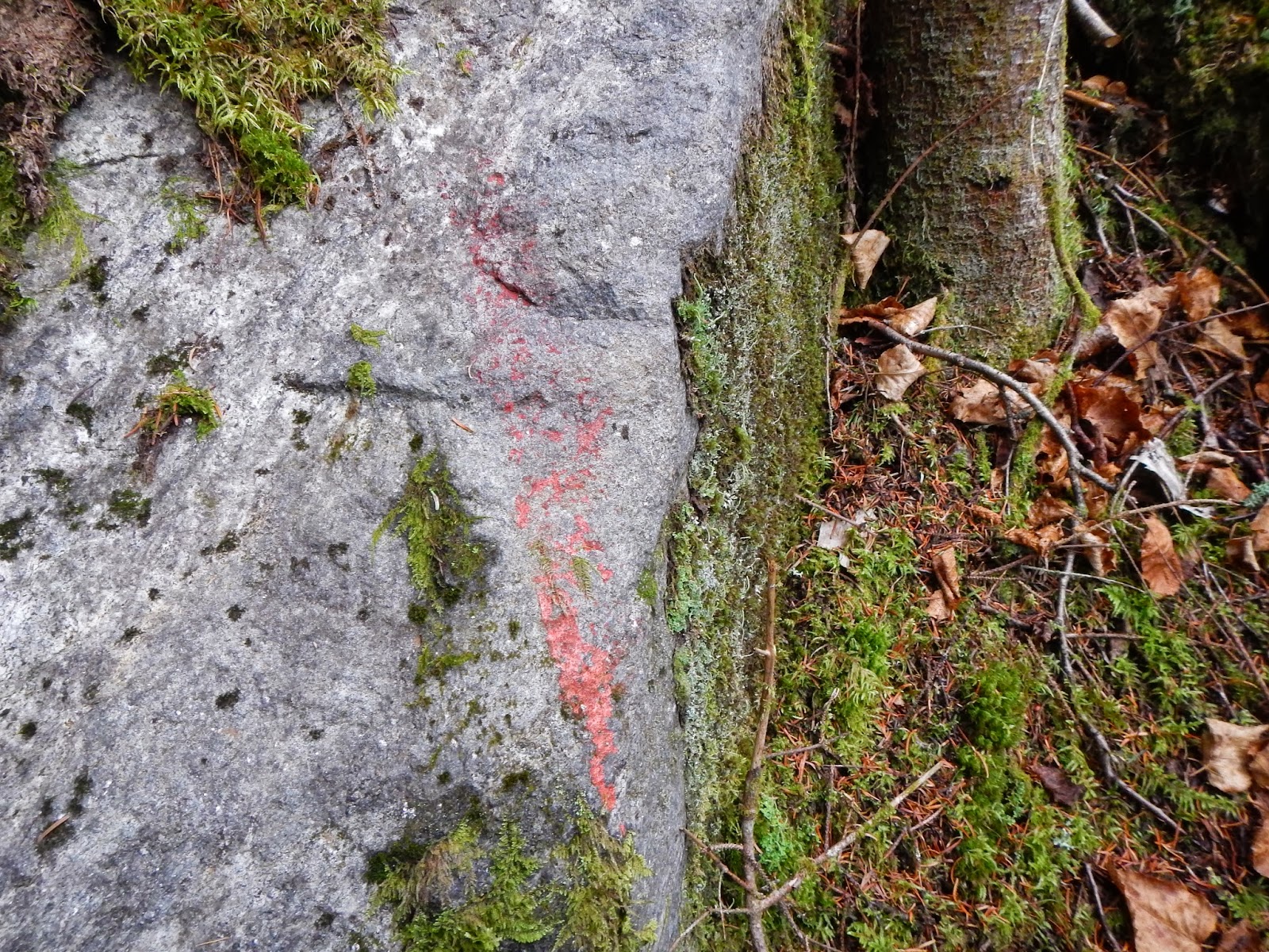 Hitting the Trails: 10/20/2013-10/21/2013 Mount Adams and The Great Gulf