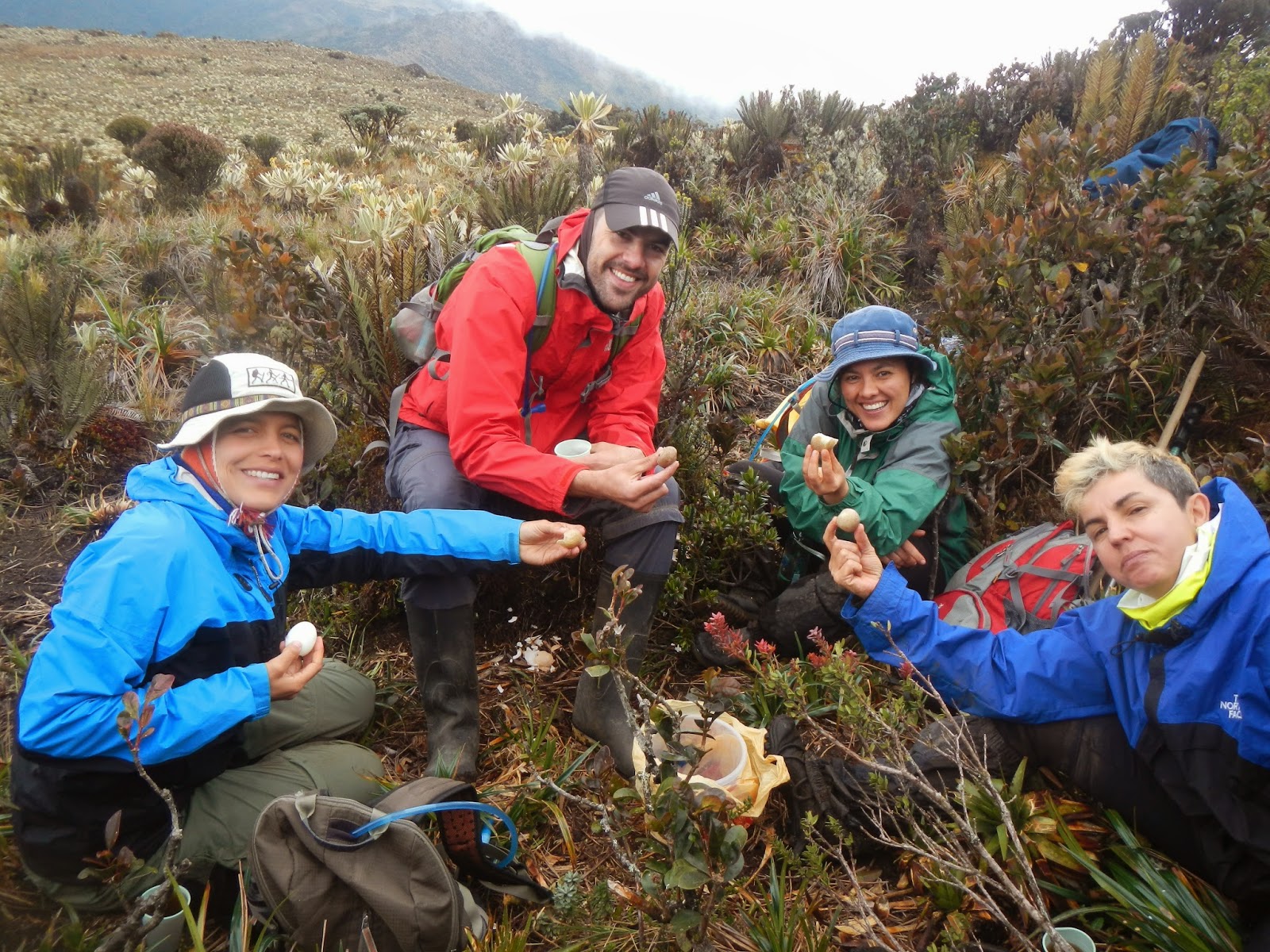 VIAJES POR COLOMBIA Y OTROS RINCONCITOS!!!: NACIMIENTO DEL RÍO ...