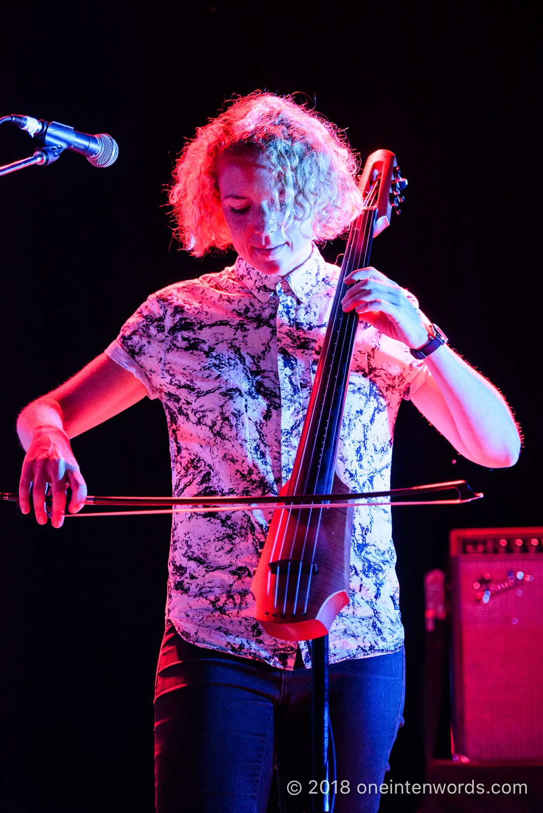 one in ten words: Hillside 2018: Day 2: Rhye - Concert Photos