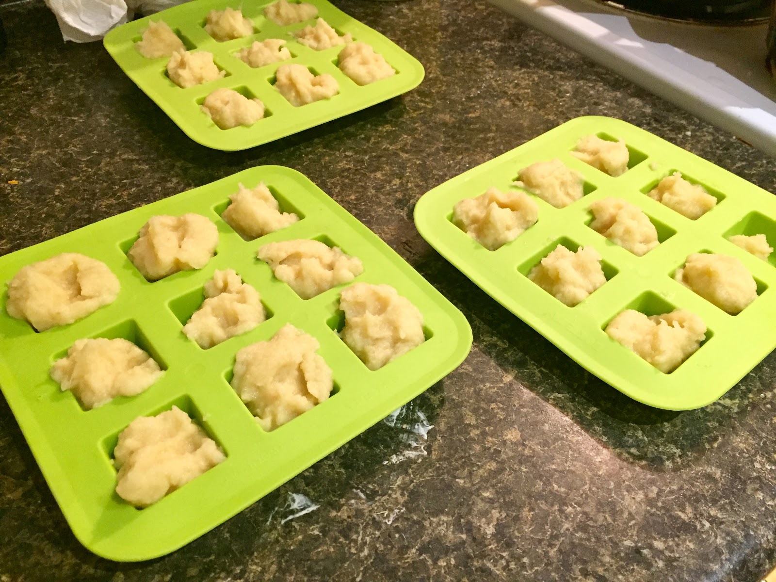 GINGER - GARLIC PASTE - frozen cubes