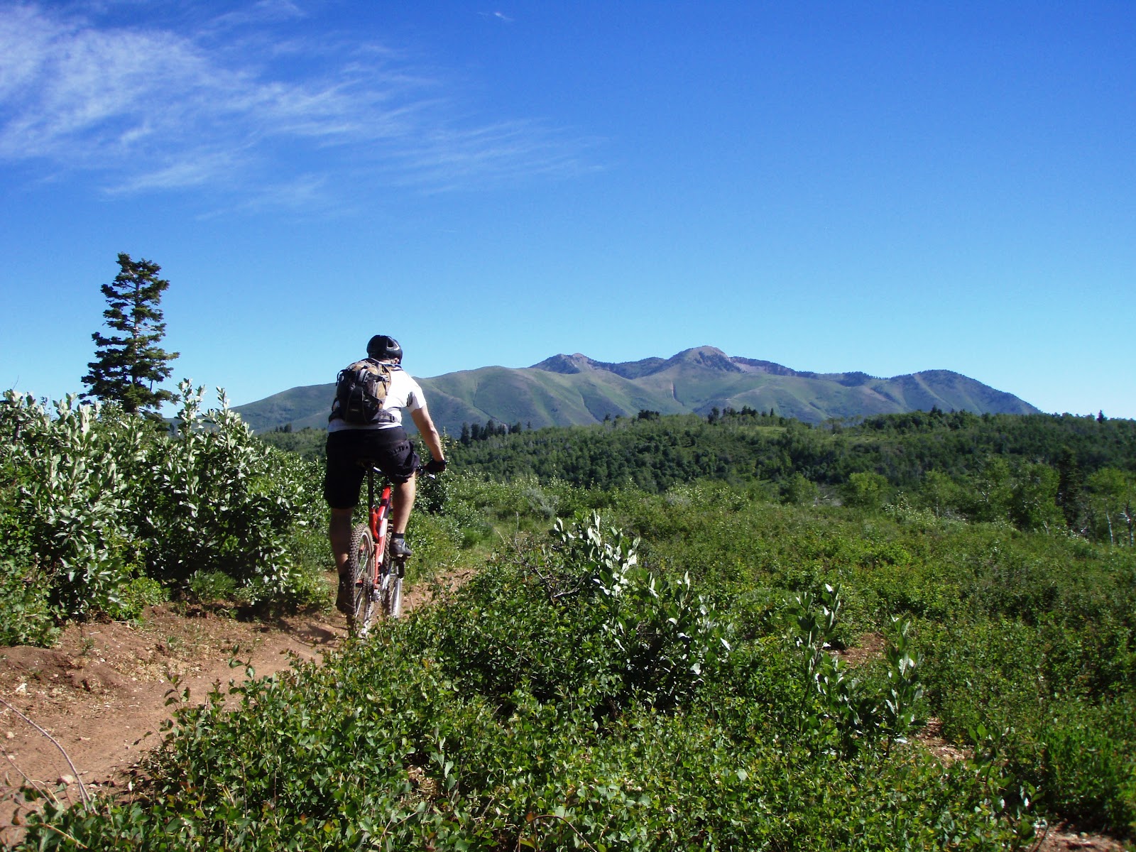 ONE TRAIL AT A TIME...: The Blackhawk Trail
