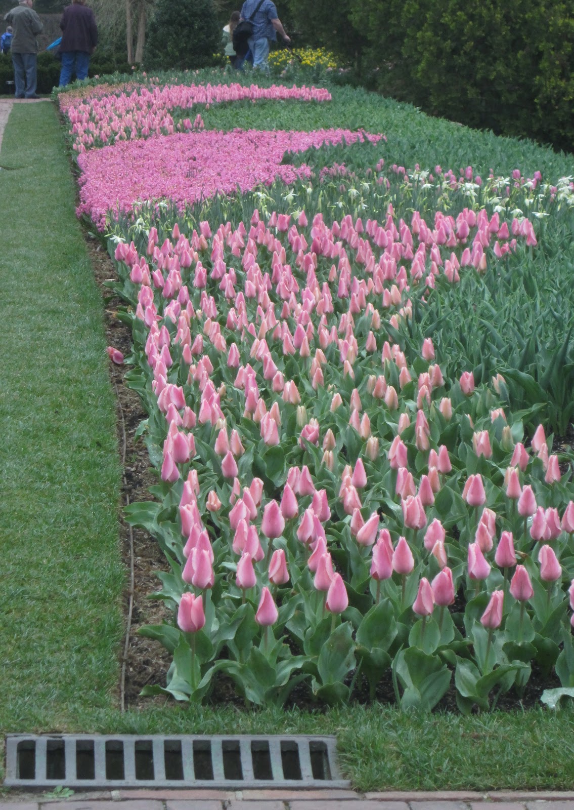 WeedsNWildflowers: Longwood Gardens Spring Day, Part 2