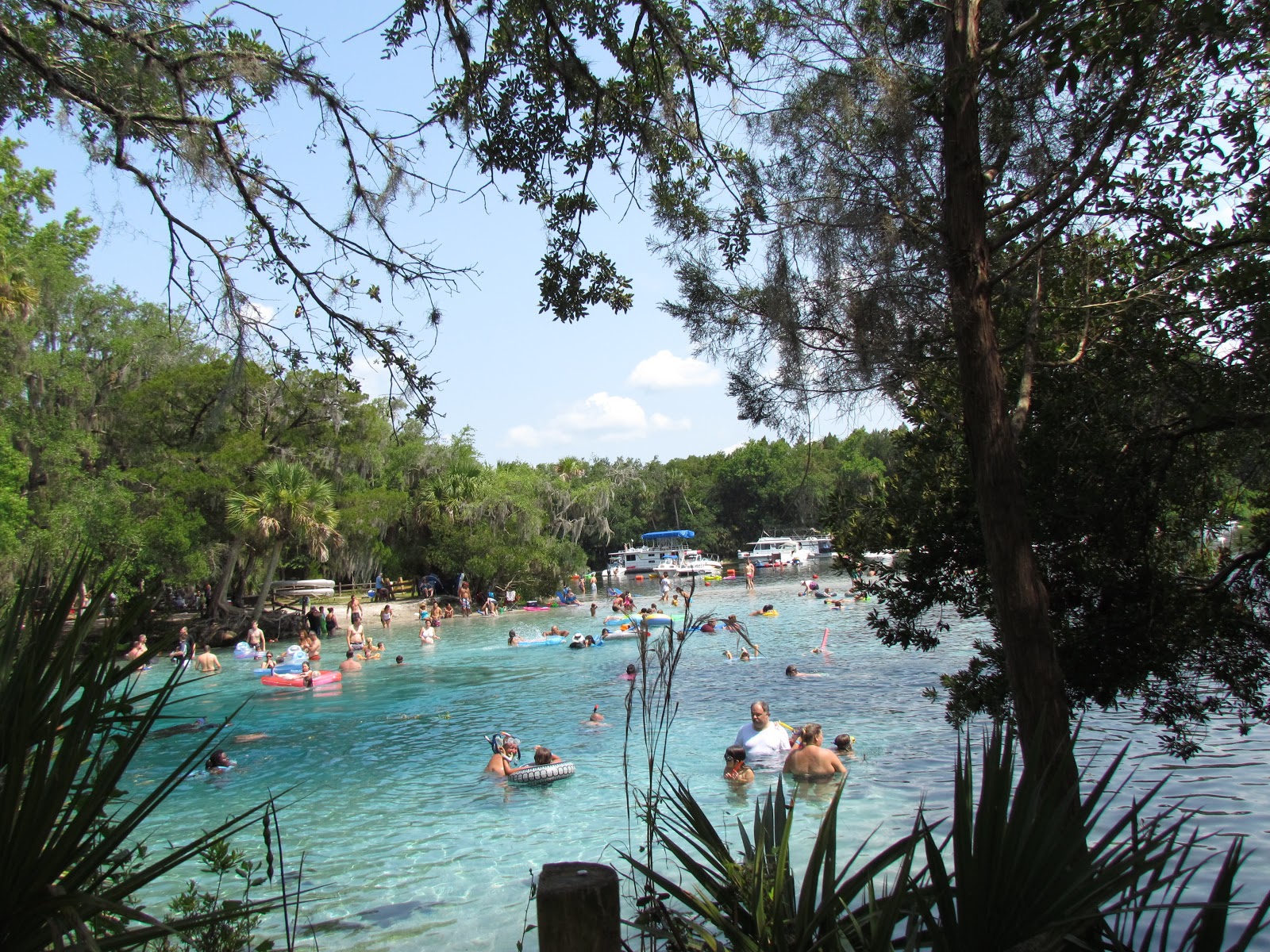 WildWildernessWalkers: Silver Glenn Springs