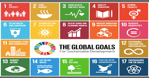 Human security and UN SDGs