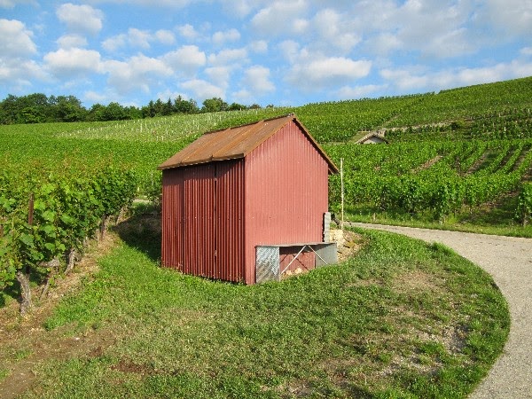 Histoire et histoires d'Arnex sur Orbe: La capite à Manu