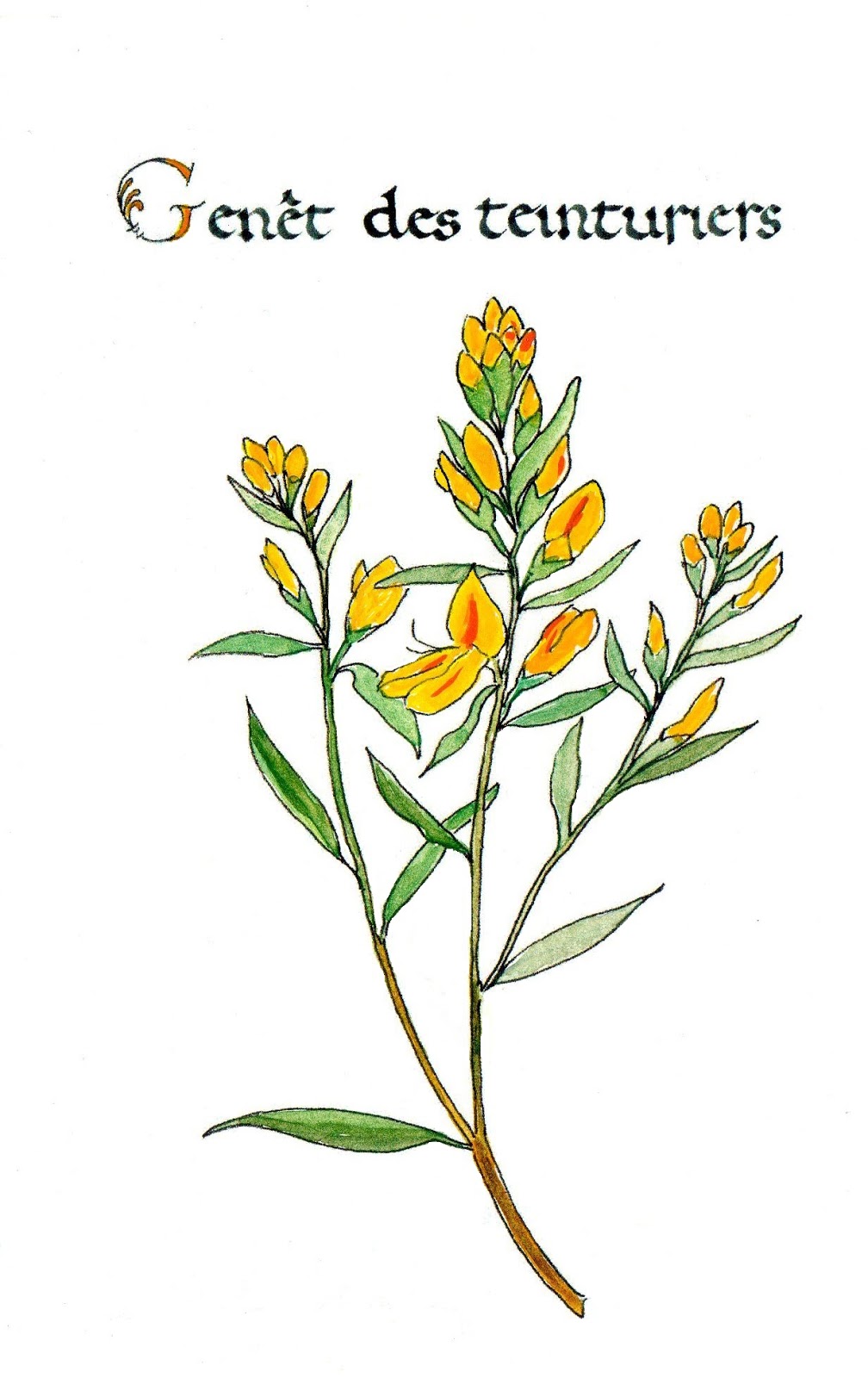 Les feuillets de Fardoise: Calendrier 2017 autour du jaune : 06 - le ...