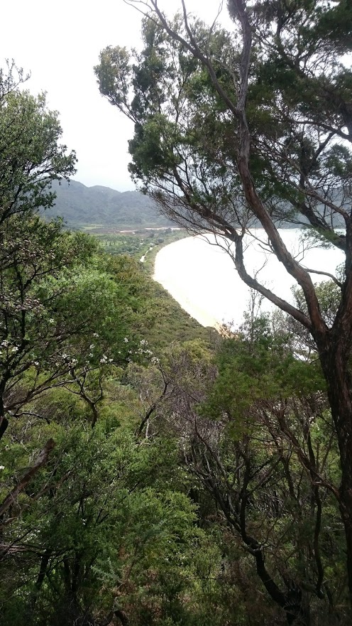 Running the... Abel Tasman Coastal Track