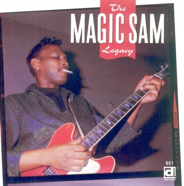 Folk 'n Blues: Magic Sam