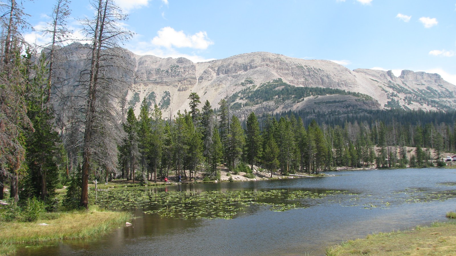 July 20-27, 2012 – Kamas, UT