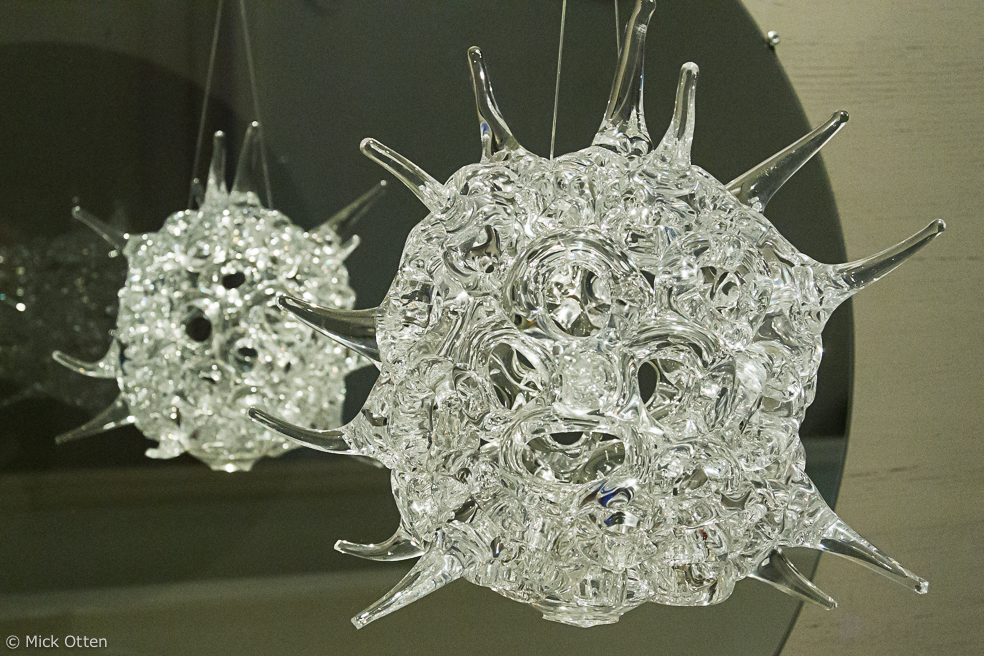 Mick's marine biology: A Sea of Glass