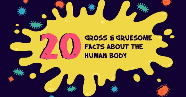20 Gross & Gruesome Facts About The Human Body [Infographic ...