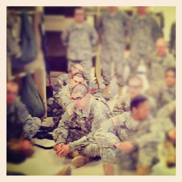 to the humming meadow