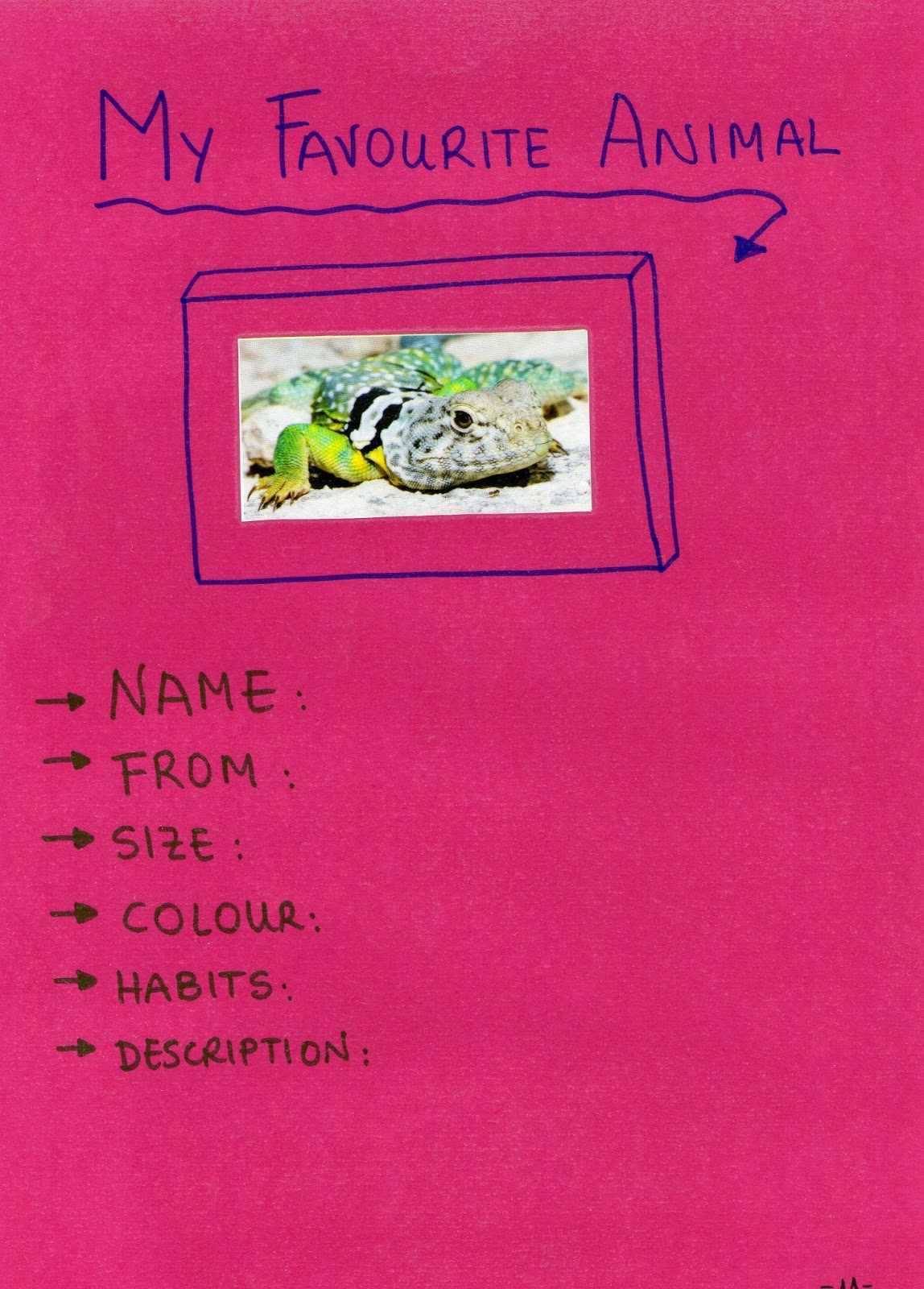 All About Me: My Favourite Animal