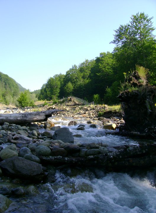 RRAJCA JONE: Bukurite natyrore