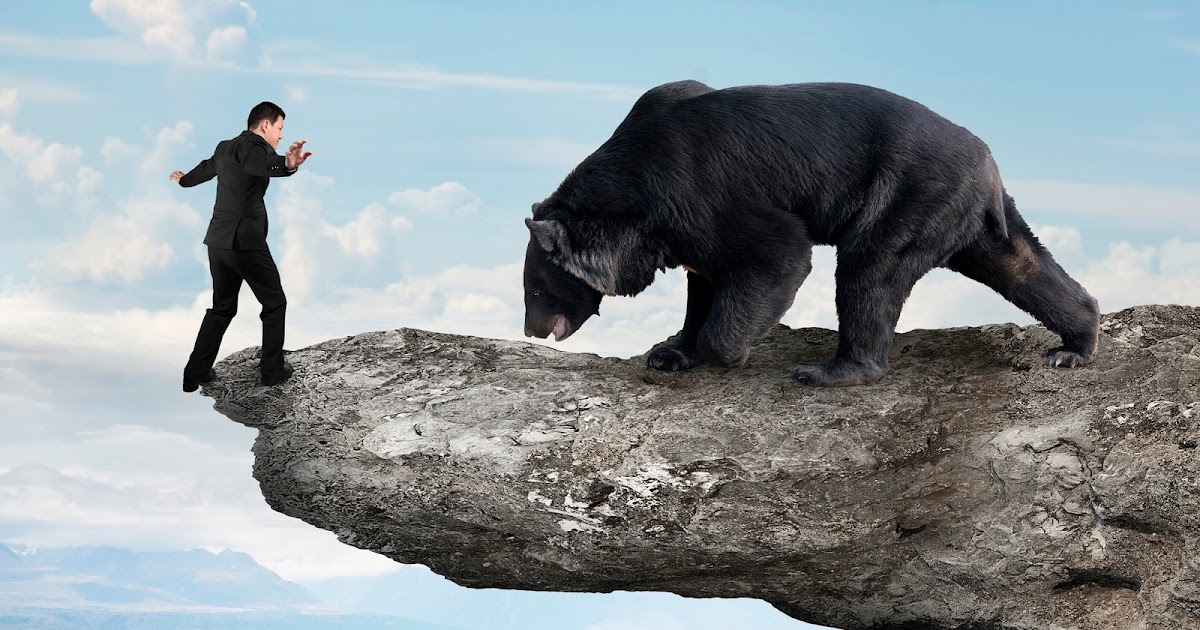 Fundamental Investor Bloodbath In The Markets Should We Worry fundamental-investor-bloodbath-in-the-markets-should-we-worry
