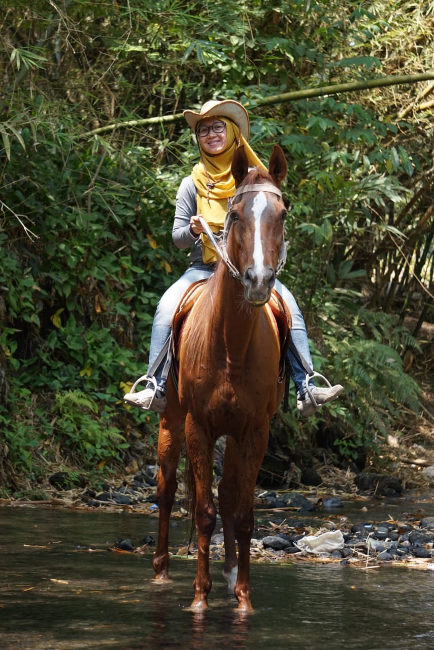 Pengalaman Baru Berkuda di Bale Kuda Stable