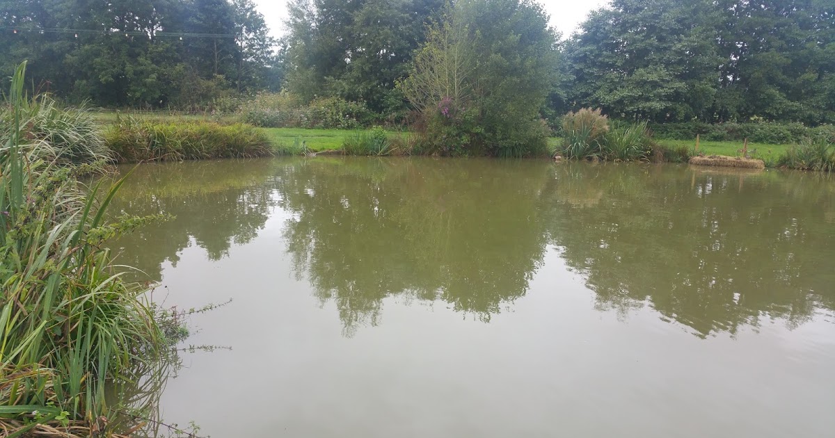 Woolavy's Wanderings: Pawlett Club Day Out, Mathern Mill Fishery ...