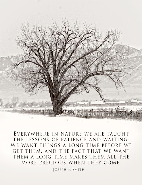 Laura Vanderbeek: Patience and Waiting