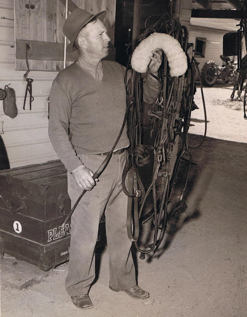 The FREDERICTON SCENE: Earle Avery