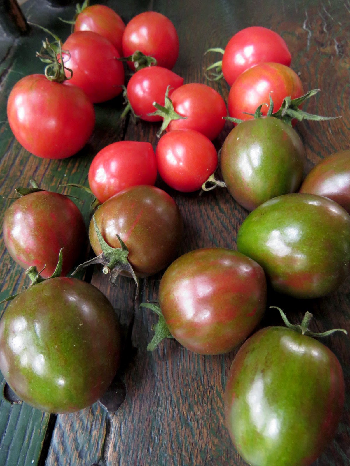 Mostly Tomato Mania: Tomato pictures